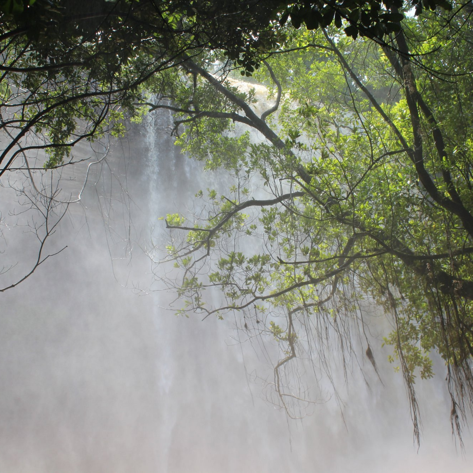 See Waterfalls in Ghana - Awuni Tours Ghana